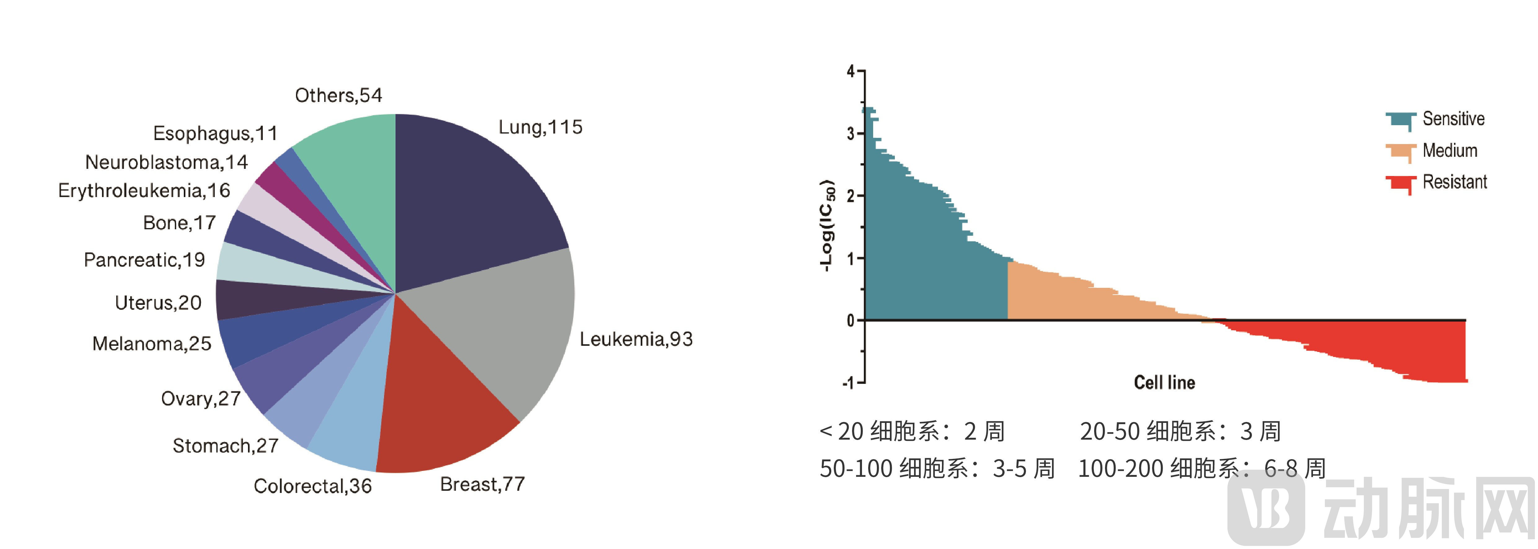 首发爱思益普完成近亿元人民币B 轮融资领跑靶点驱动药物发现CRO一体化服务 动脉网