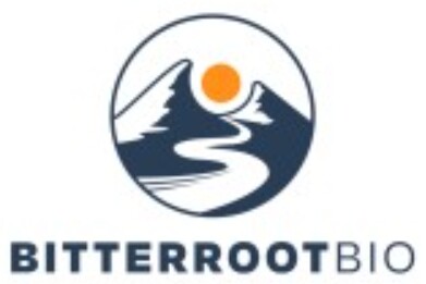 Bitterroot Bio和Biotheus宣布合作开发心脏病免疫学双特异性蛋白-动脉网