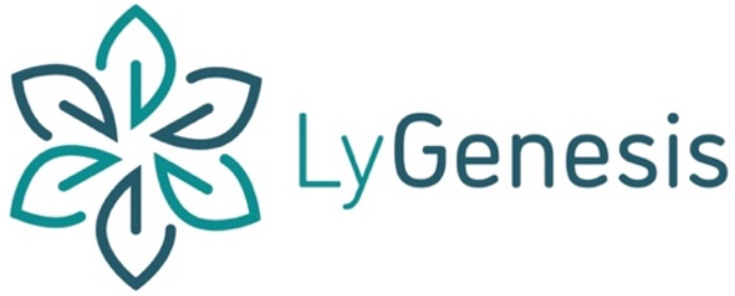 LyGenesis-动脉网