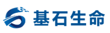 基石生命-动脉网