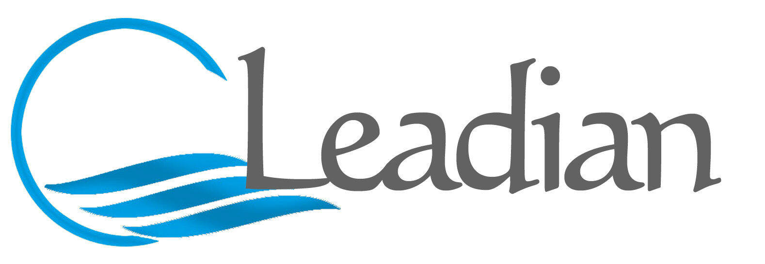 中联立鼎-动脉网