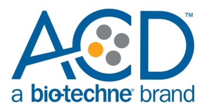 Advanced Cell Diagnostics-动脉网