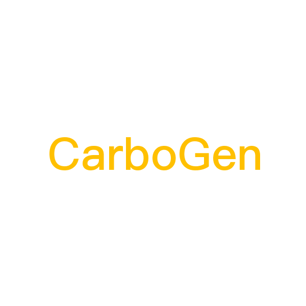 CarboGen-动脉网
