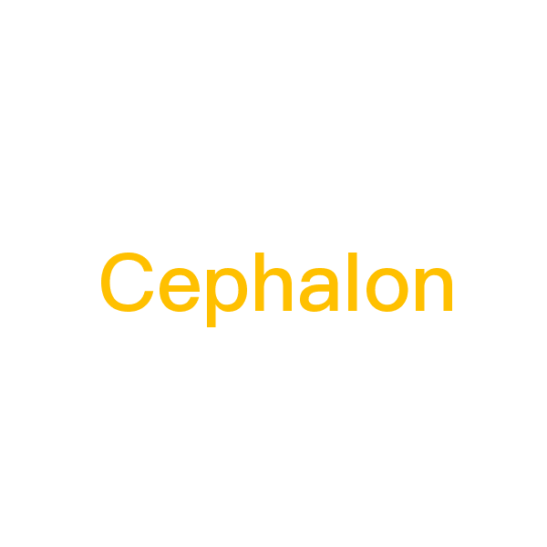 Cephalon-动脉网