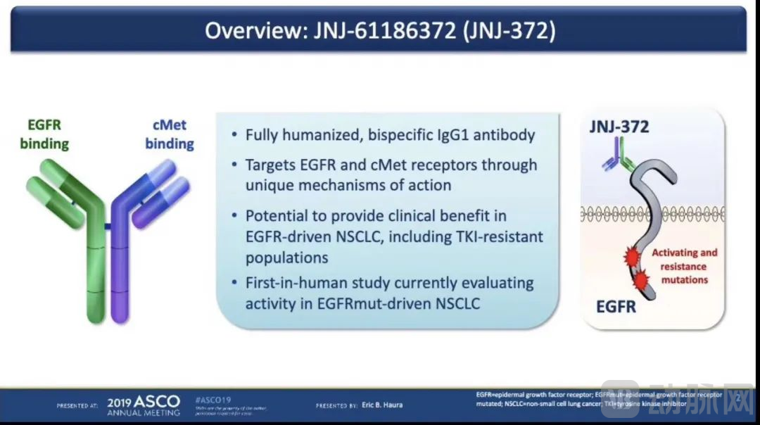 EGFR下一站：双抗与ADC-动脉网