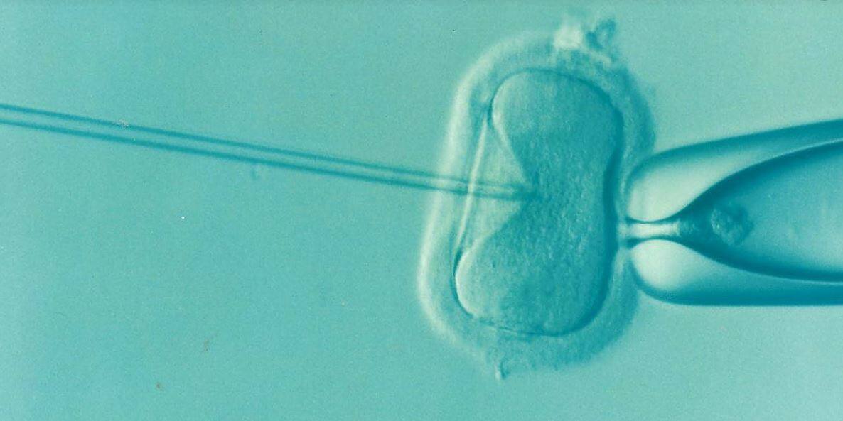 Jinxin Fertility Listed At Hong Kong Exchange-动脉网