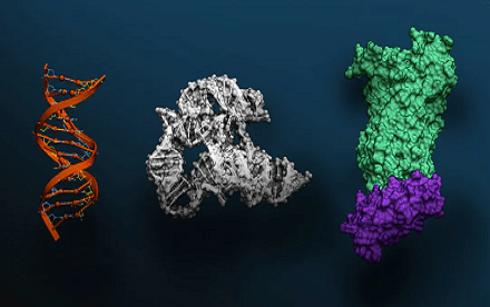 生物分子科学领域的大规模基础模型已可以通过NVIDIA BioNeMo平台获取-动脉网